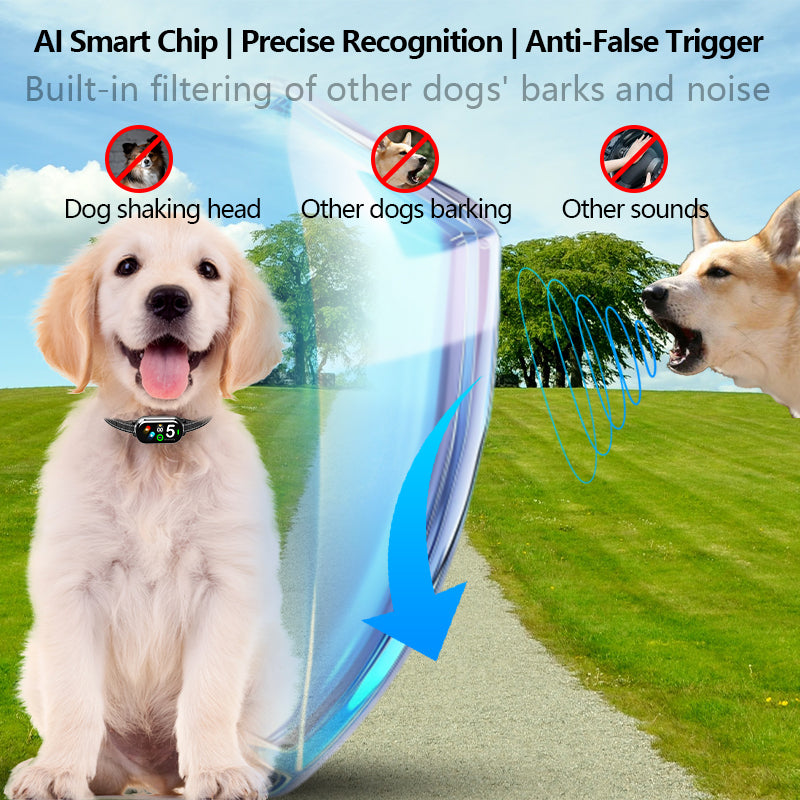 PT-BR02 Smart Bark Collar | Colour Display Control – Pet Tech